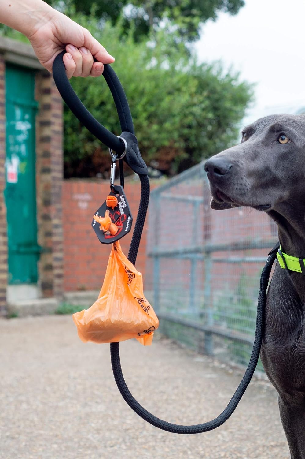 Long Paws Poop Porter, Poo Bag Holder, Poo Carrier, Poo Bag Dispenser ...