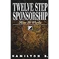 Twelve Step Sponsorship: How It Works: B., Hamilton: 9781568381220 ...