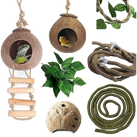 Mua kathson Lizard Coco Den with Ladder, Reptile Hideouts Gecko Coconut ...