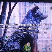 Hachiko - Eine wunderbare Freundschaft: Amazon.de: Joan Allen, Sarah ...