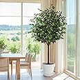 Amazon.com: Yepdin Artificia Ficus Tree 7Ft Tall Silk Ficus Tree with ...