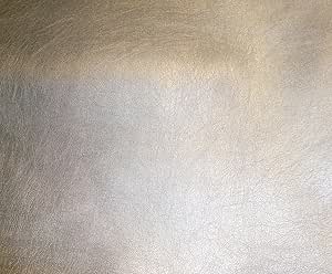 Amazon.com: luvfabrics 54" Wide Silver Metallic Ford Upholstery Car ...