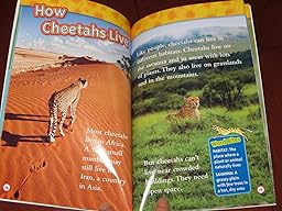 Amazon.com: National Geographic Readers: Cheetahs (8601200553413 ...