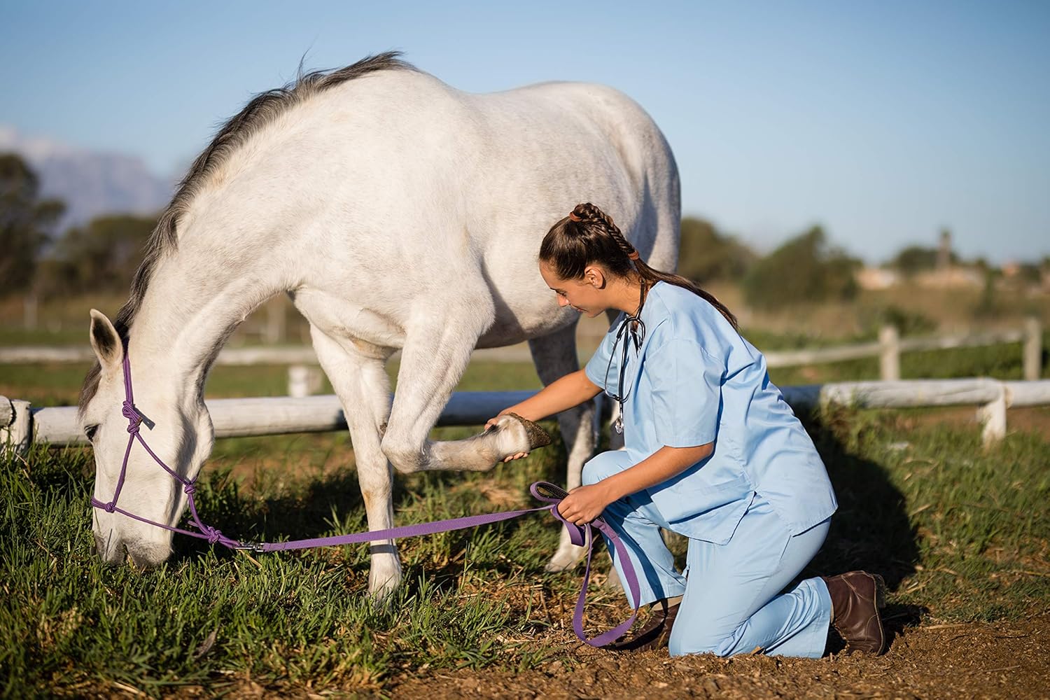 Equine Synergy MEGA BIOTIN + Maximum Biotin (40mg), Enhanced Absorption ...