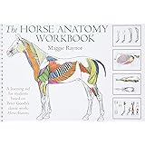 Horse Anatomy Coloring Book: Green, John: 0800759448135: Books - Amazon.ca