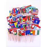 Amazon.com : SoKoot 100 Countries Cupcake Toppers Stick Flag Small Mini ...
