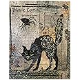 Amazon.com: Black Cat Halloween Fiberworks Laura Heine Fused Art Quilt ...
