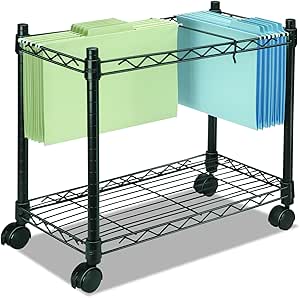 Amazon.com: Fellowes Mobile File Cart File Folder (FEL45081) : Office ...