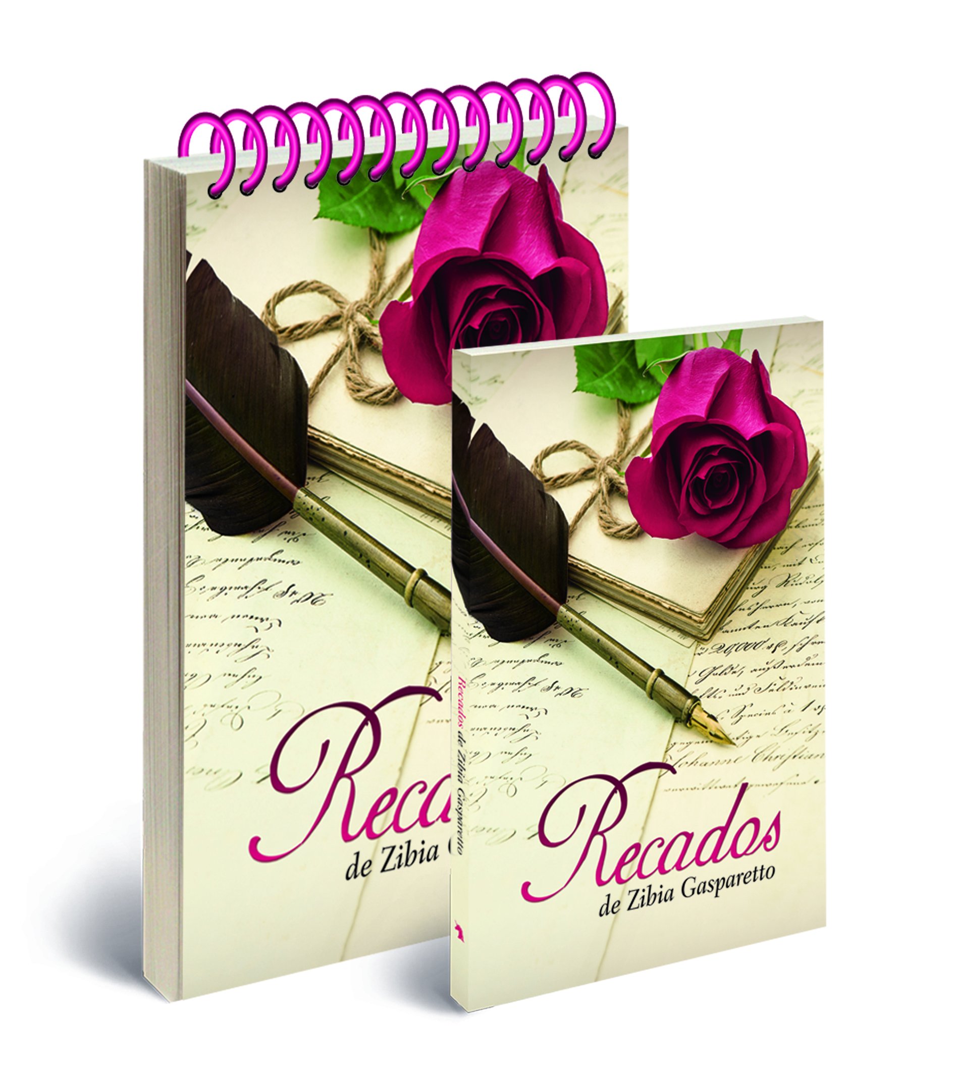 Recados - Caixa com Bloco Grande PDF Zibia Gasparetto