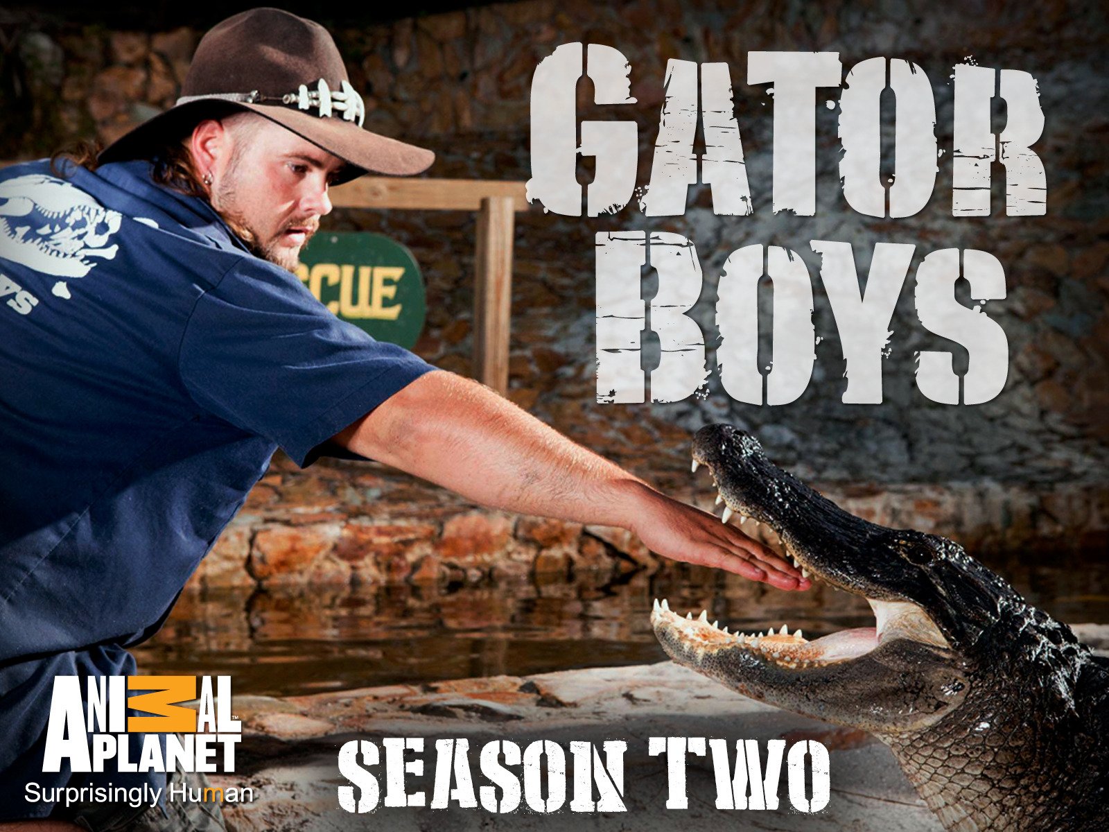 Watch Gator Boys | Prime Video
