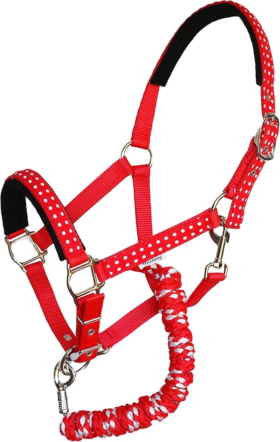 EIN Pferdezubehör-Set: Halfter mit Strick + passende Fleece-Bandagen in ...