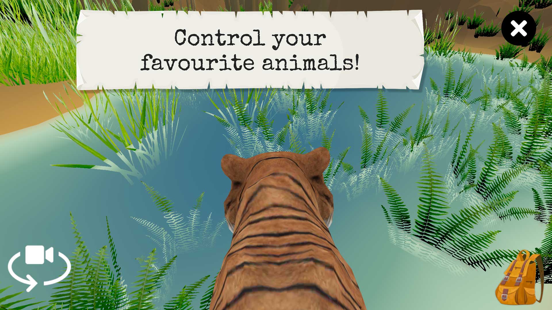 Wild Animals Safari (Full) - 4D Kid Explorer VR & AR game:Amazon.co.uk ...