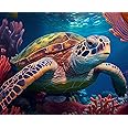 Amazon.com: Paint by Numbers for Adults and Kids Underwater Wild Turtle ...