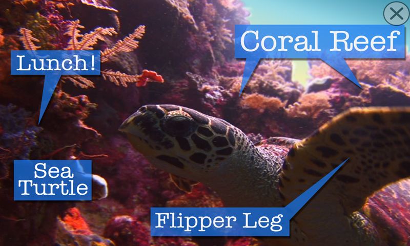 Shaq's Little Fishy Things:Amazon.com:Appstore for Android