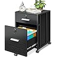 Amazon.com: AODK File Cabinet for Home Office, Fully Assembled Filing ...