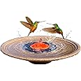 Amazon.com: Quackups Solar Bubbler Fountain for Hummingbirds, Small ...