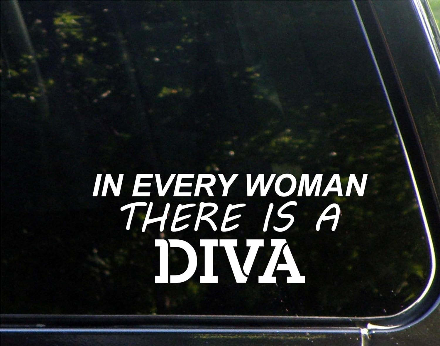 Amazon.com: In Every Woman There Is A DIVA - 8-3/4" x 3-1/2" - Vinyl ...