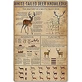 Amazon.com : PAIION Metal Tin Signs White-Tailed Deer Knowledge Hunting ...