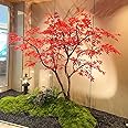 Amazon.com: Large Red Maple Faux Tree with Japanese Landscape Art ...