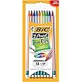 Amazon.com : BIC Xtra-Fun Graphite Pencil, 2 Lead, 18-Count : Office ...