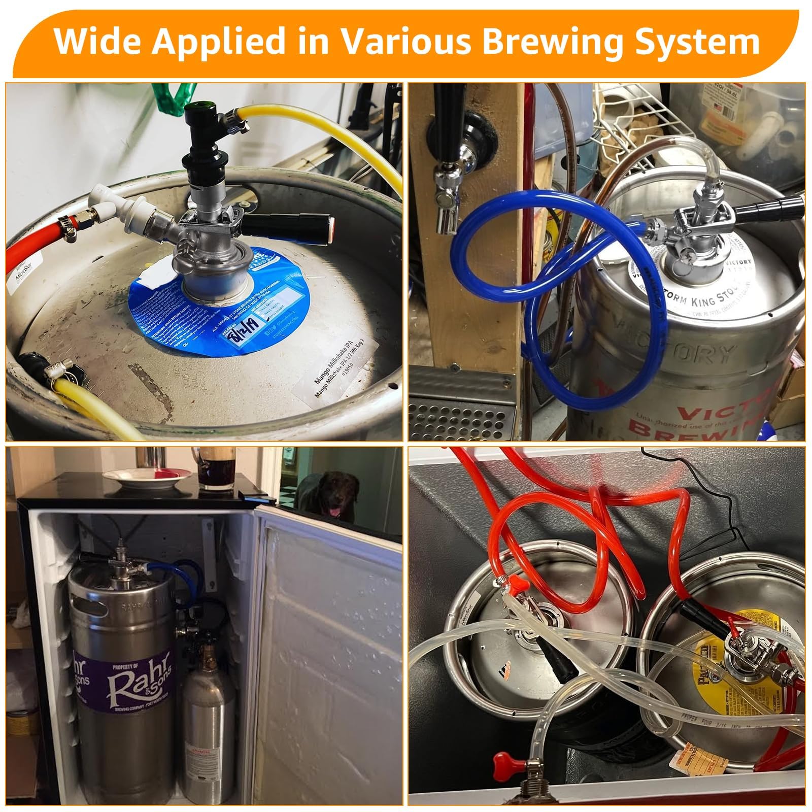 Mua Dbgogo All Stainless Steel D Keg Coupler, Commercial Kegerator ...