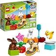 LEGO DUPLO Town 6175775 DUPLO Family Pets 10838, Multi : Toys & Games