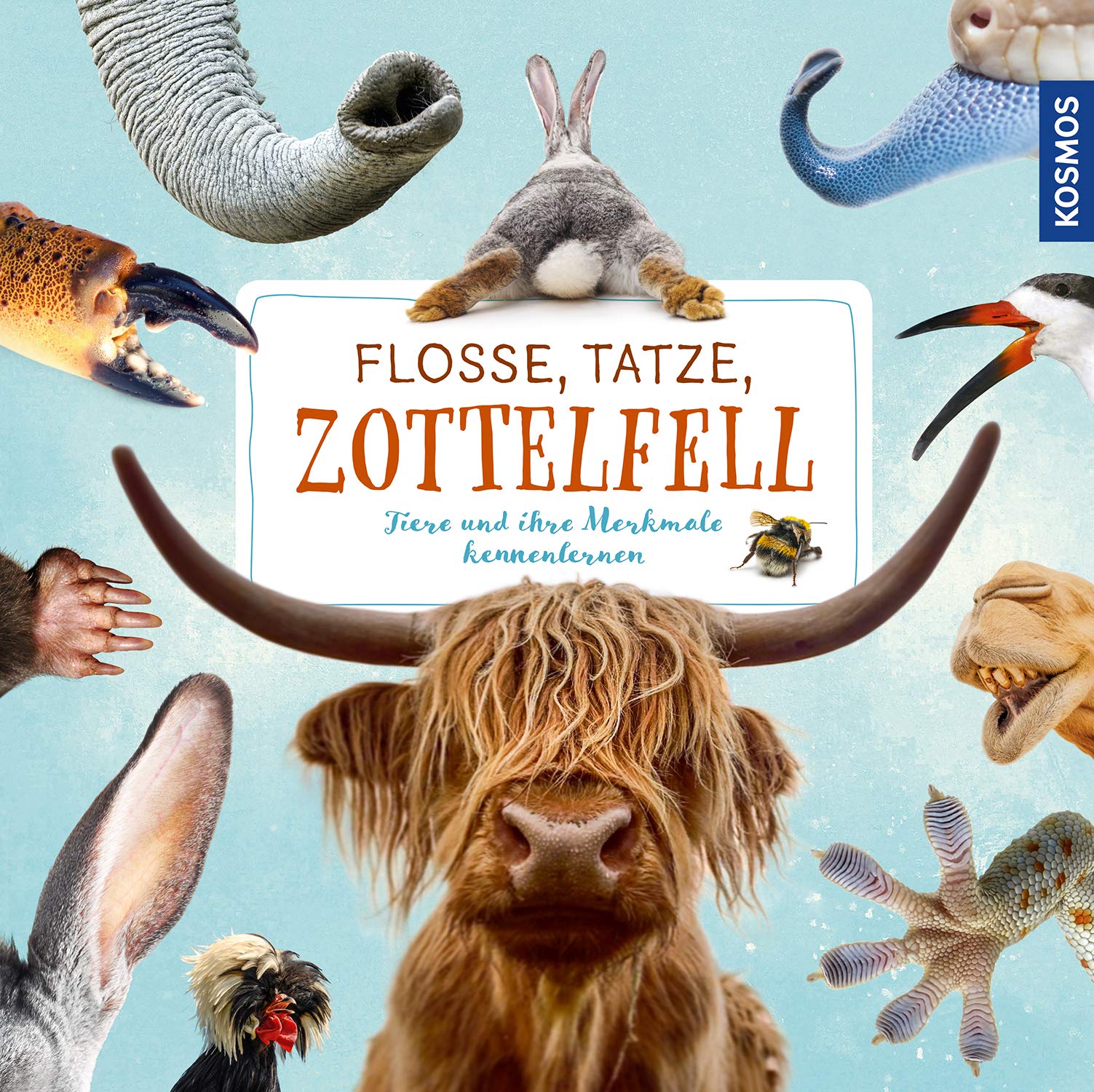 29 Tiere Raten Beispiele | Sofiyaarissa