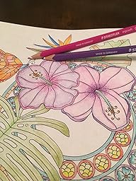 Amazon.com: Color Me Mindful: Tropical (9781501130892): Anastasia ...