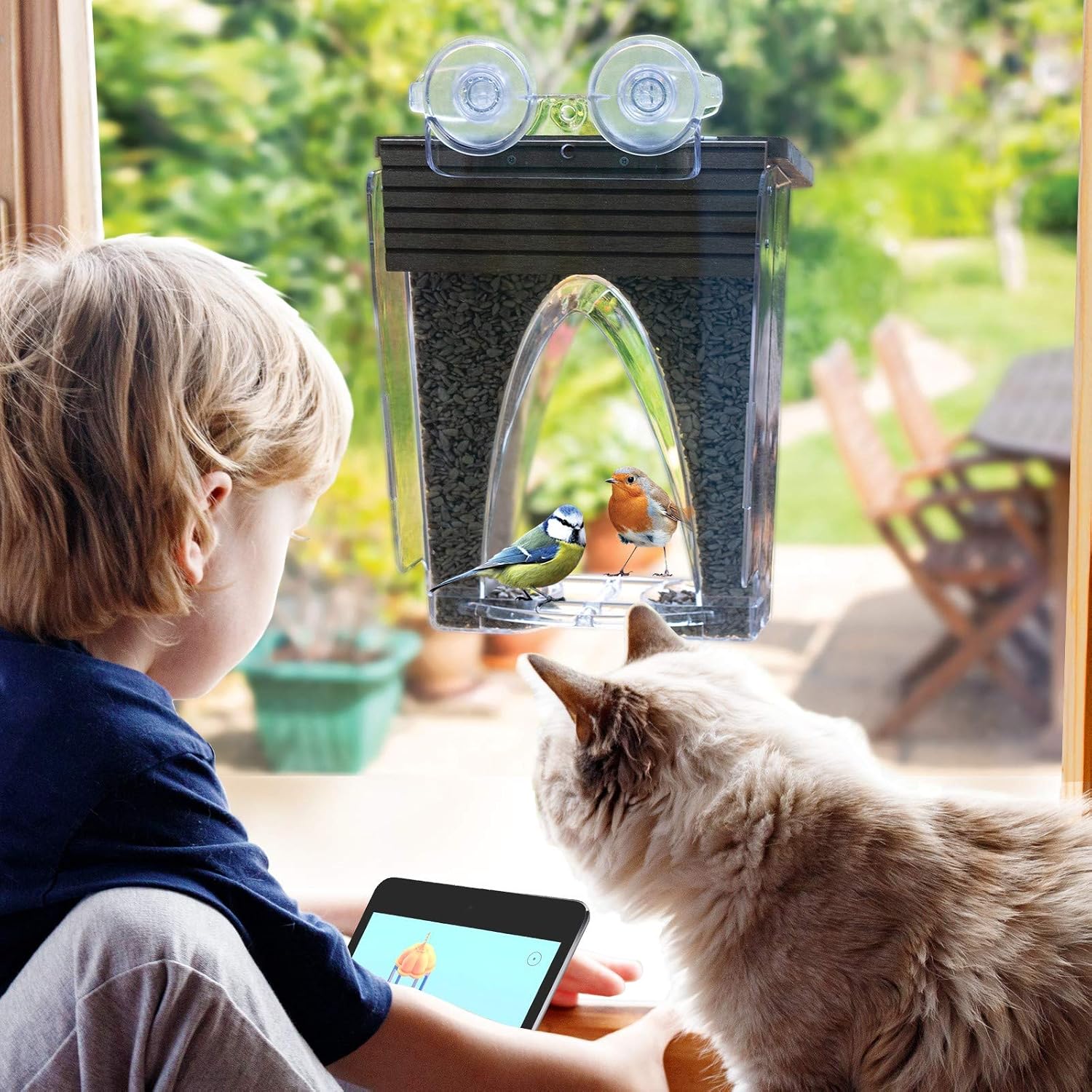 Roamwild Beautiful Arch Window Wild Bird Feeder With Huge 2L Capacity ...