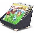 Amazon.com: Record Roots Vinyl Record Display Organizer - Compact Vinyl ...