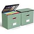 Amazon.com: Oterri 2 Pack File Organizer Boxes with Lids, File Box with ...
