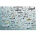 Amazon.com: AllPosters Wall Poster Evolution Military Aircraft, 36x24 ...