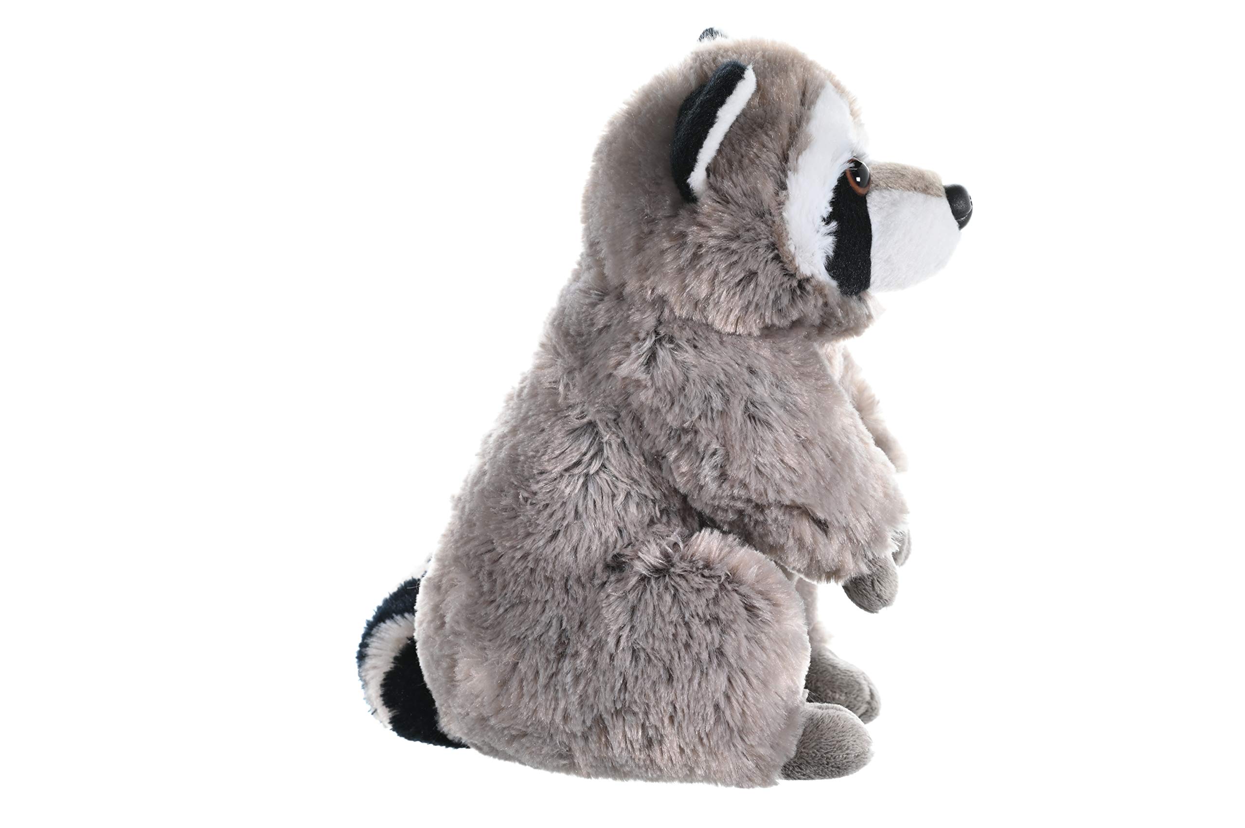 Mua Raccoon Plush, Stuffed Animal, Plush Toy, Gifts for Kids ...