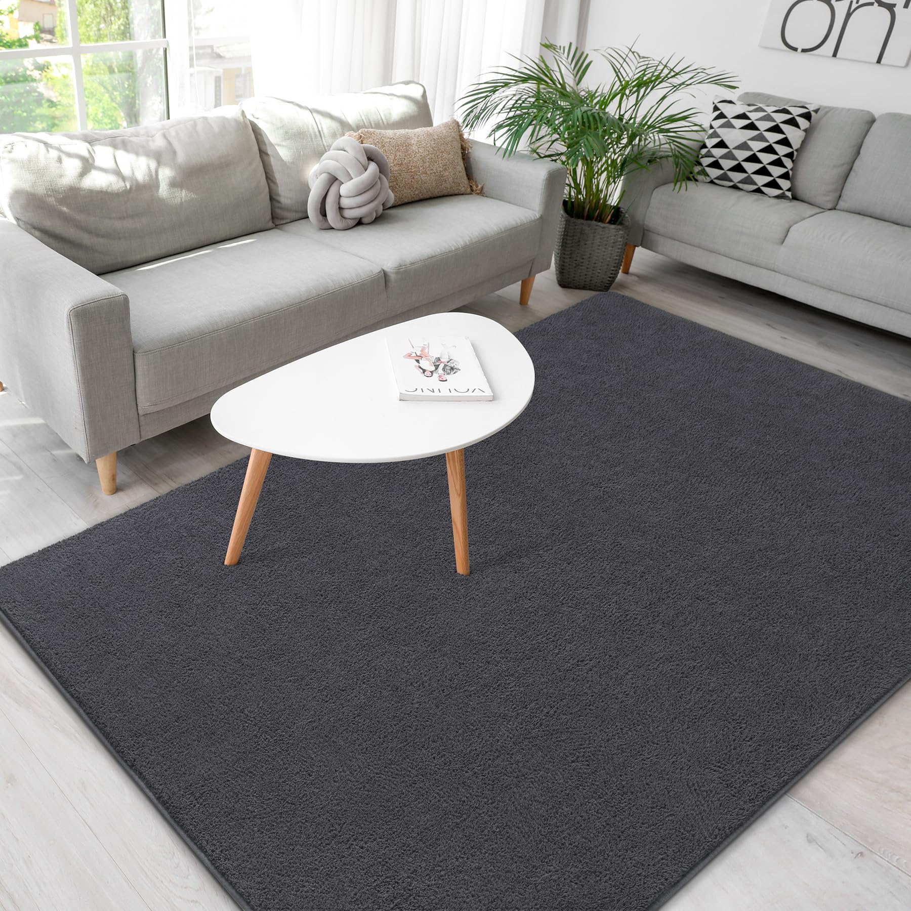 Dark Grey Rugs for Living Room, Minimalist Area Rugs 5x7, Soft Memory ...