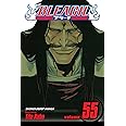 Bleach, Vol. 55: Kubo, Tite