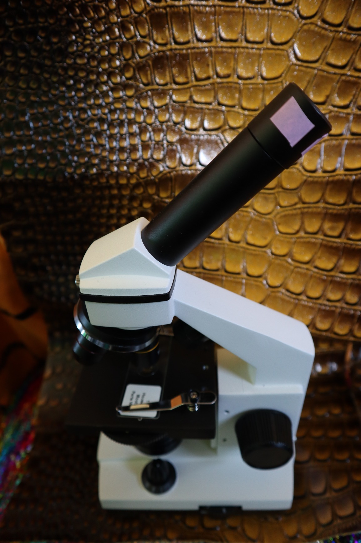 $16/mo - Finance Microscope,Compound Monocular Microscope 40X-2000X for ...
