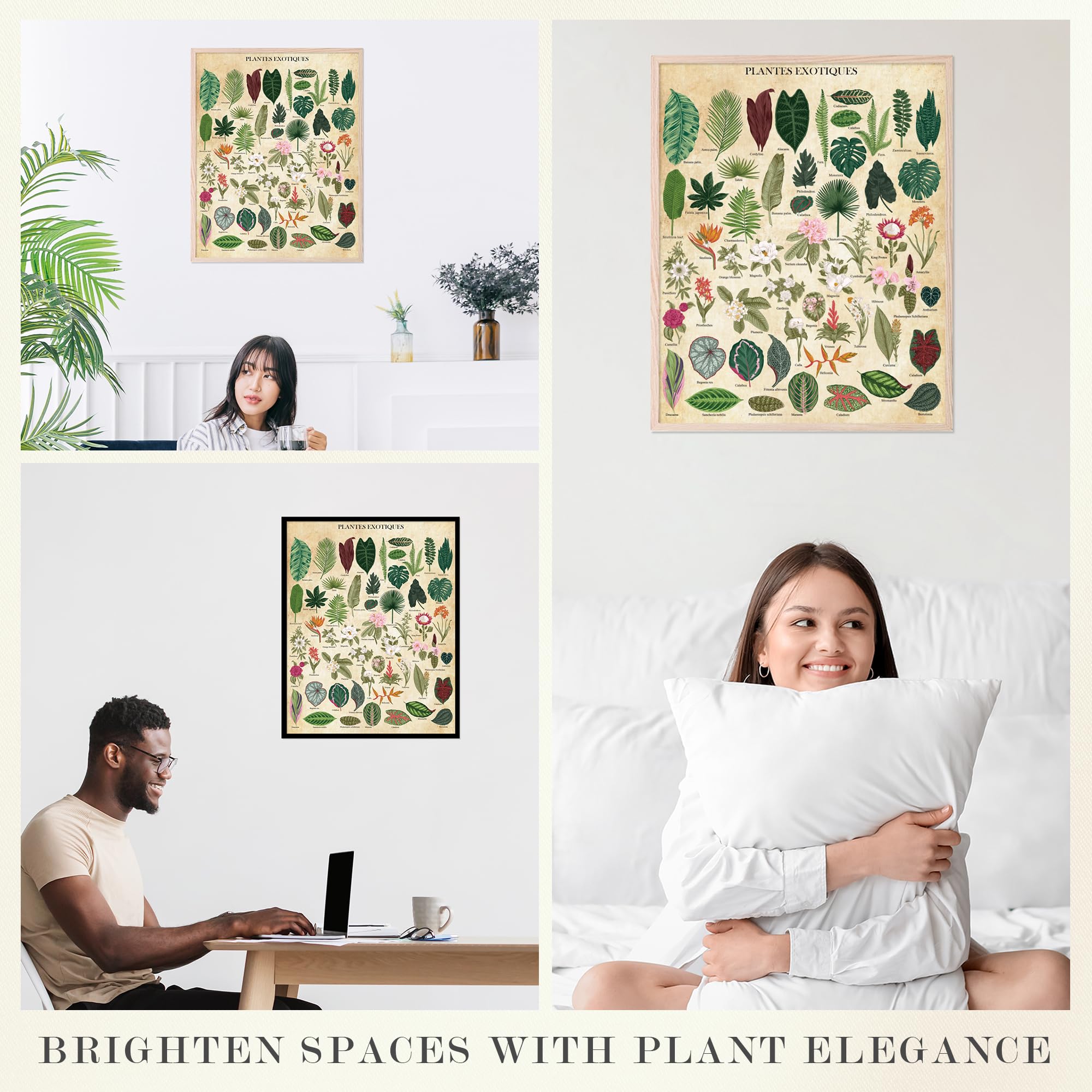 Mua Insire Vintage Plant Poster, Botany Poster, Large Botanical Poster ...