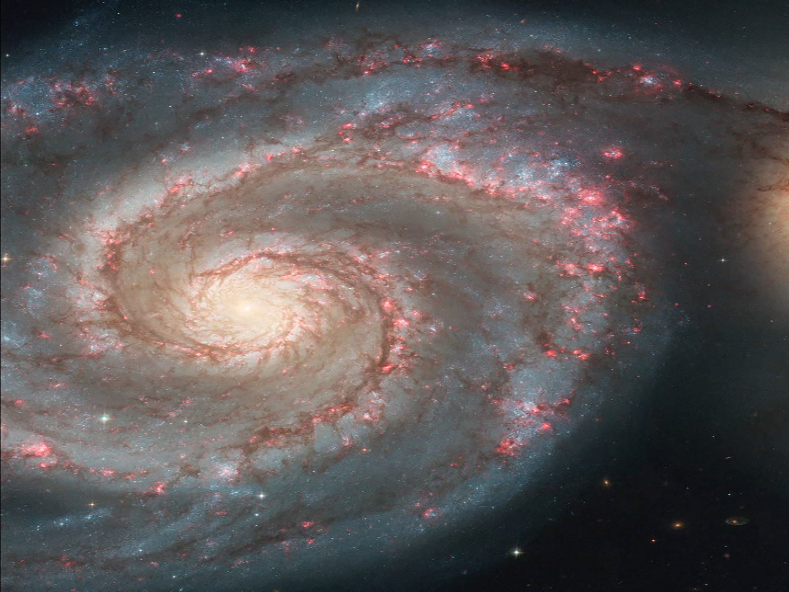 Watch Nasa Season One | Prime Video