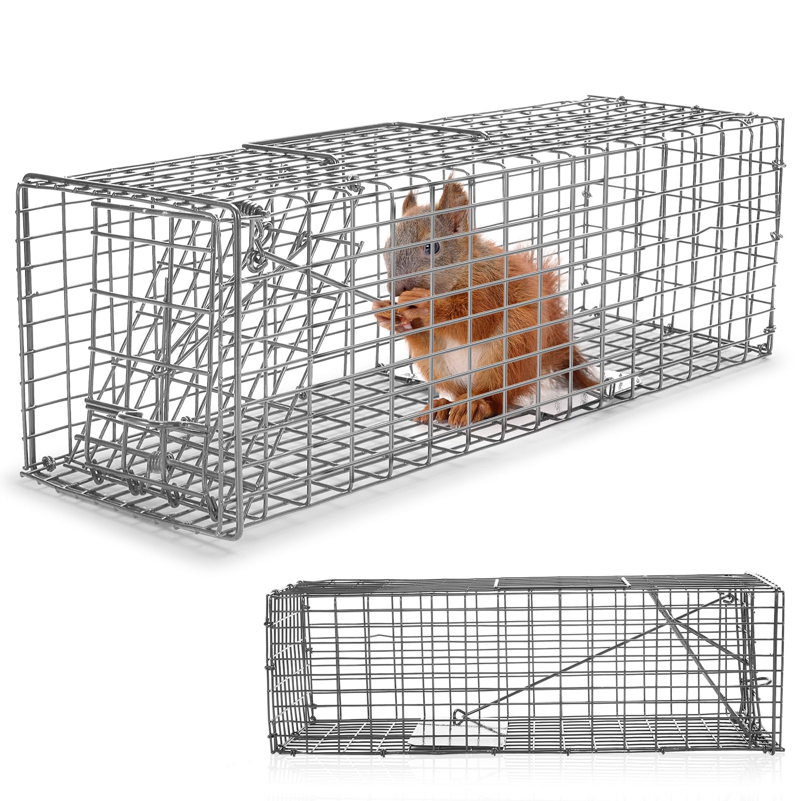 Qualirey 2 Pcs Humane Squirrel Trap Heavy Duty Live Animal Chipmunk ...