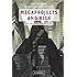 Amazon.com: Industrial Megaprojects: Concepts, Strategies, and ...