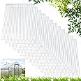 Amazon.com: Tatuo 12 Pack 6' X 2' X 0.16'' Polycarbonate Greenhouse Panels Polycarbonate Sheets ...