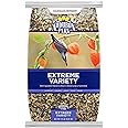 Amazon.com : Audubon Park Extreme Variety Wild Bird Seed for Outside ...