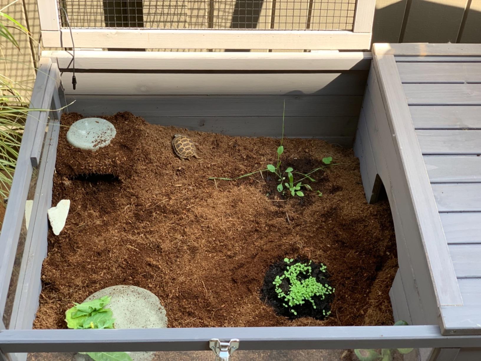 $21/mo - Finance Aivituvin Wooden Tortoise House Large Tortoise Habitat ...