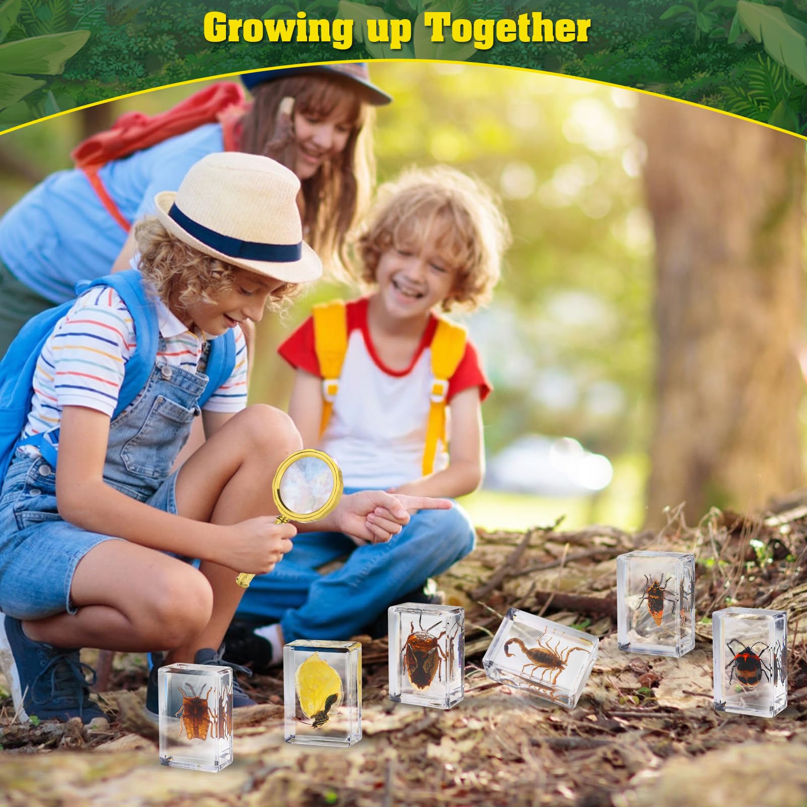 Mua 15 insect specimens,Real Specimens of Various Butterflies and ...