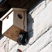 Wildlife World Camera Ready Nest Box: Amazon.co.uk: Garden & Outdoors