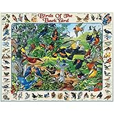Amazon.com: Clarkson Potter Sibley Backyard Birding Puzzle: 1000-Piece ...