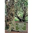 Trees in Anglo-Saxon England: Literature,... by Hooke, Della