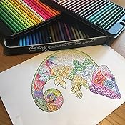 72 Professional Watercolour Pencils, Numbered, with a Brush and Metal ...