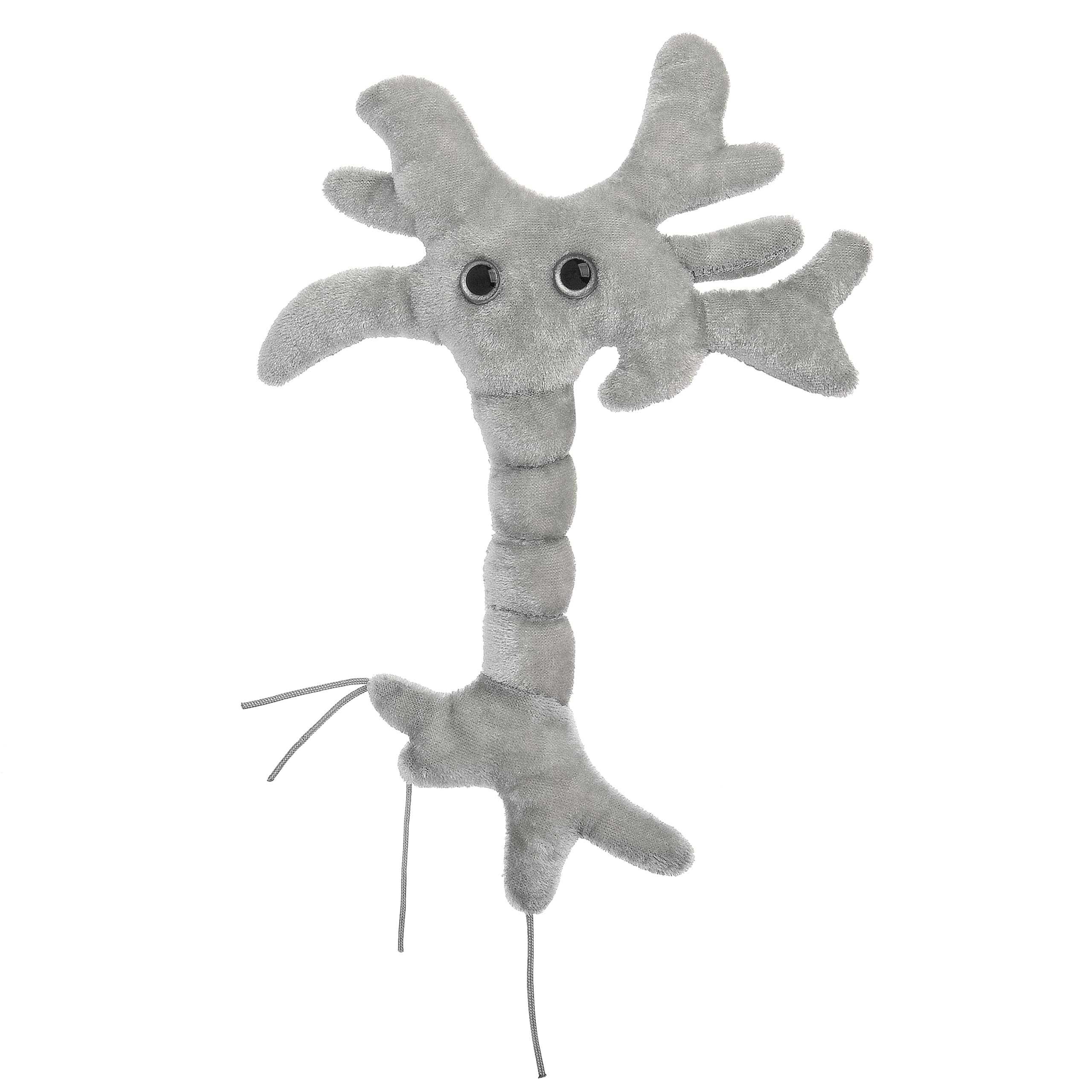 Mua GIANTmicrobes Brain Cell Plush, Neuron Plush, Neuroscience Gift ...
