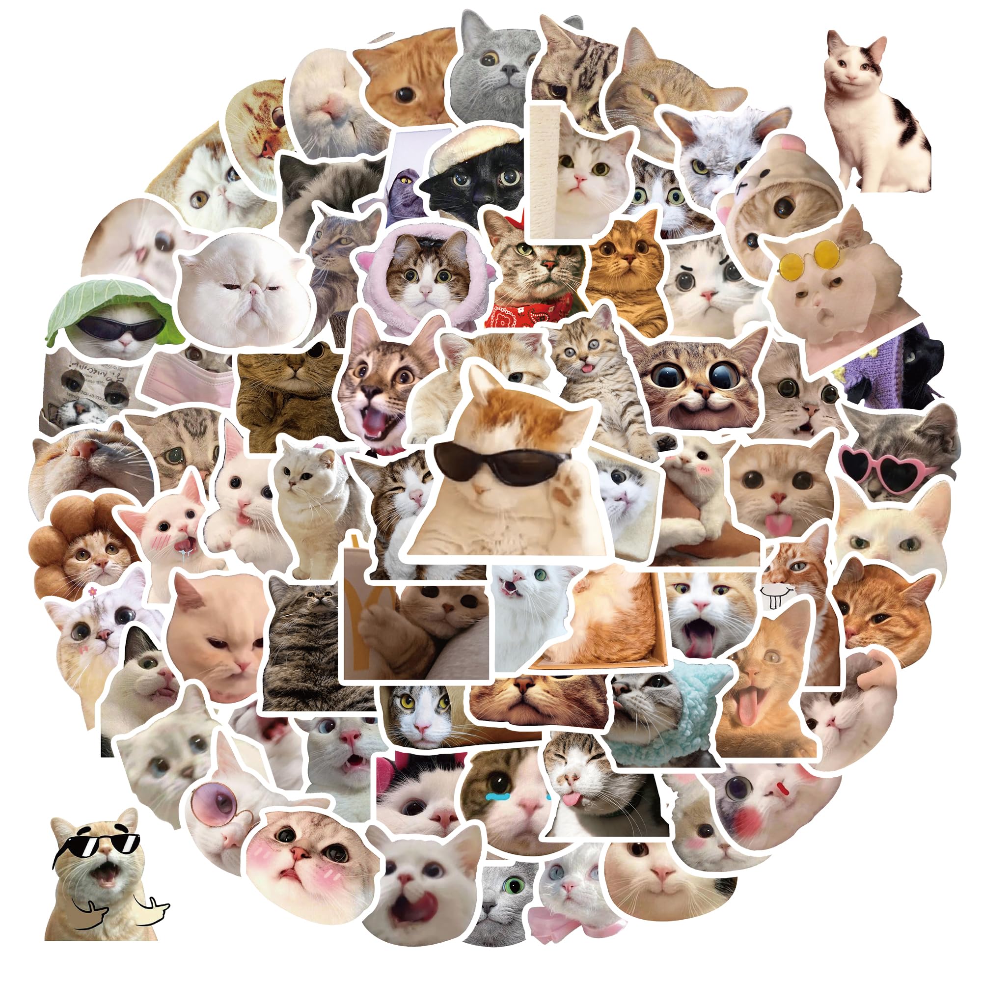 Mua 100 Pcs Cat Meme Stickers, Funny Cat Stickers, Cute Cat Stickers ...